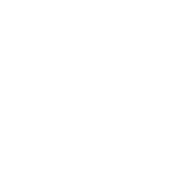 Welcome to V Pay - V Pay